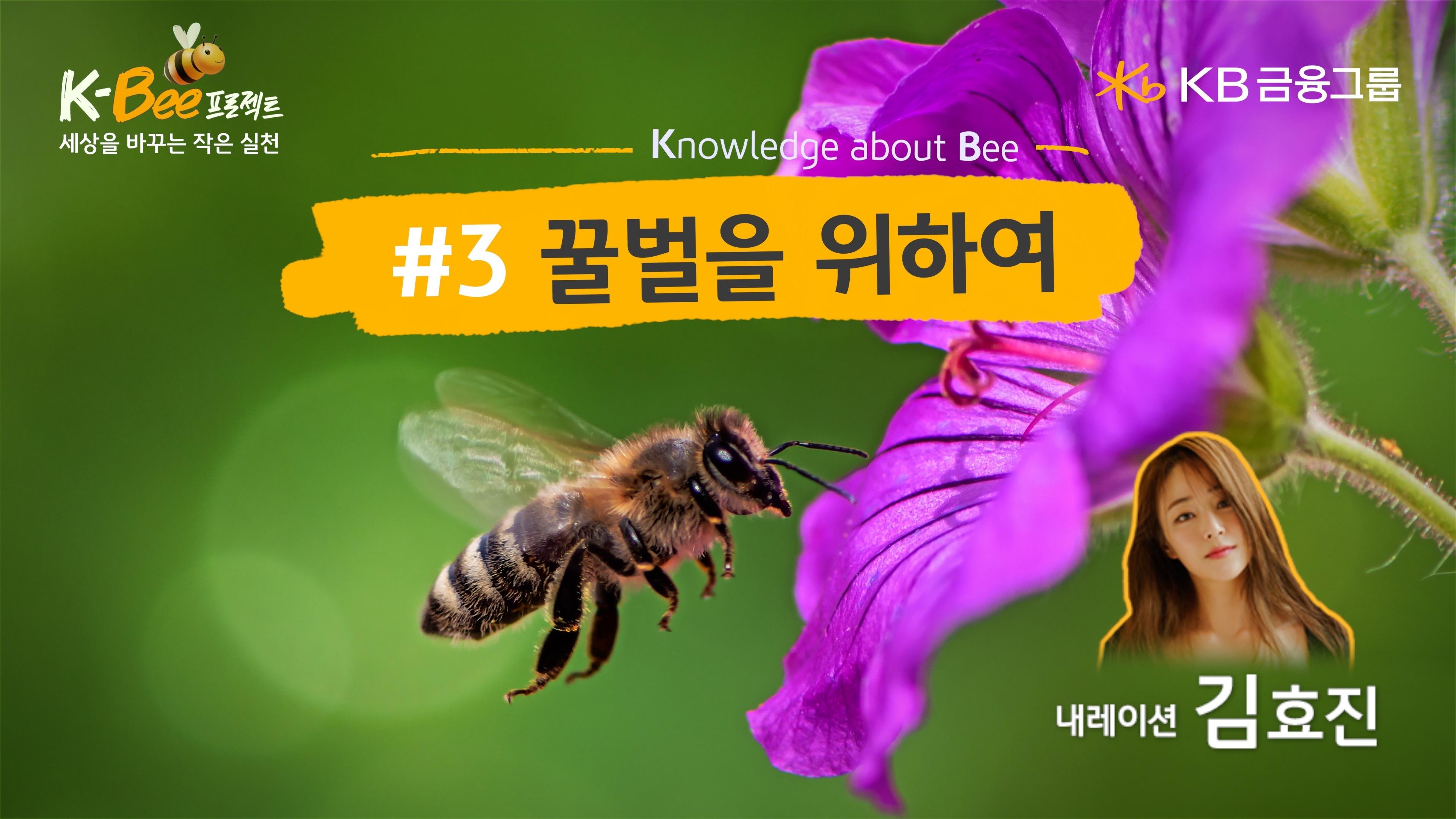 Kb금융 세계 벌의 날을 맞아 꿀벌을 위하여 영상 공개 네이트 뉴스