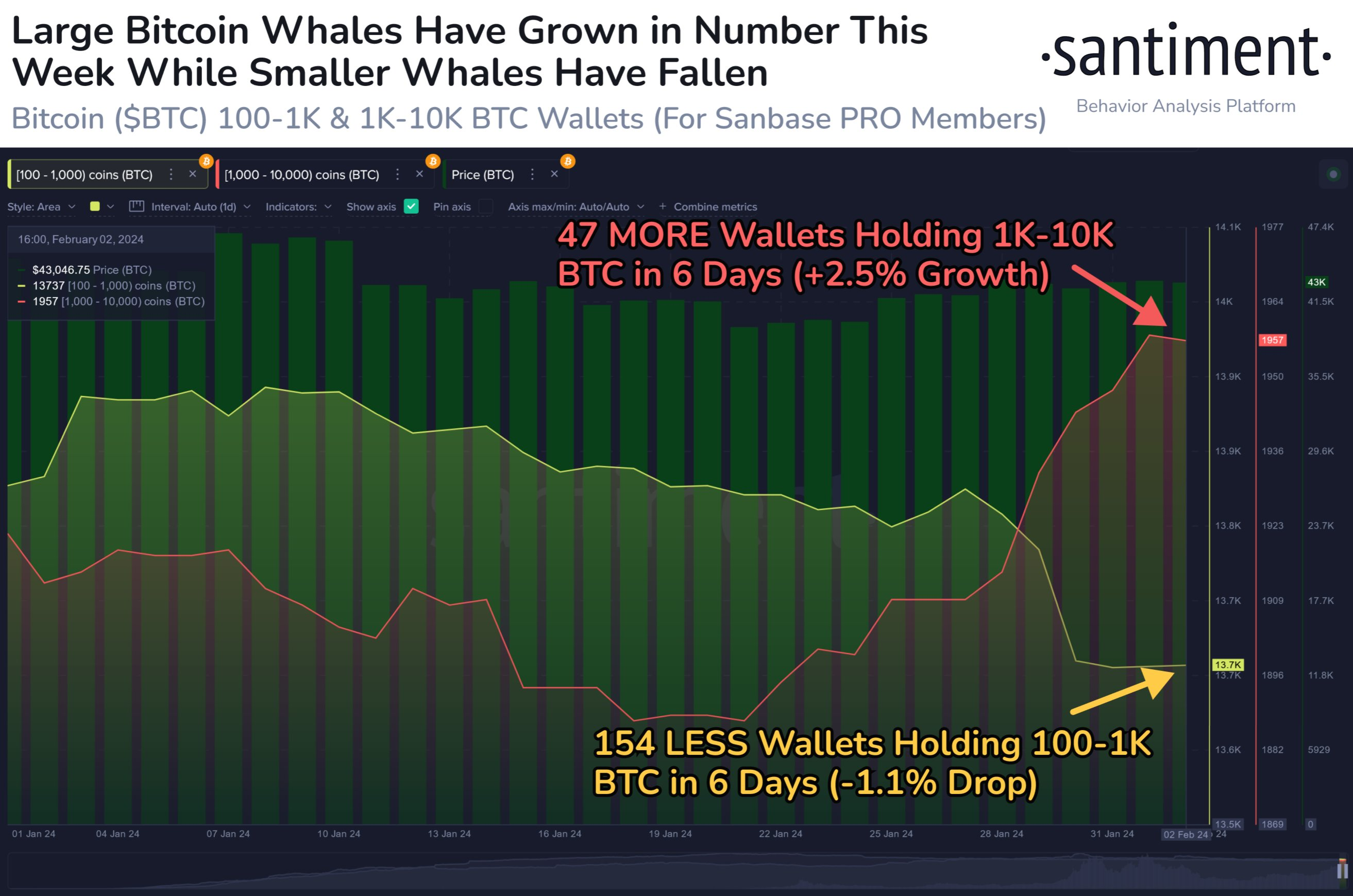 비트코인, 1000BTC 이상 보유 고래 15개월 이래 최고치 - 조세일보